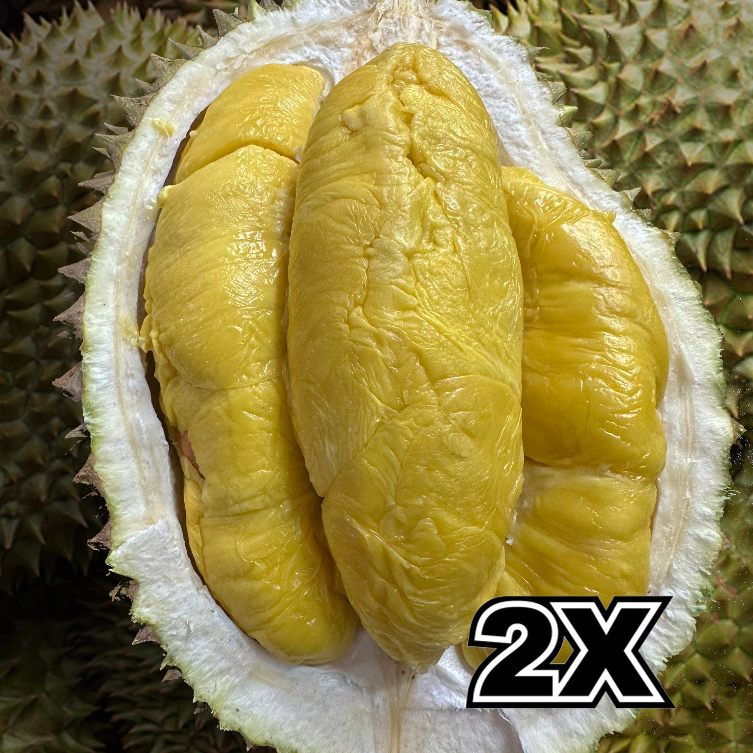 🔥 1 For 1: Normal MSW Durian (2 x 800g Non-Mountain Harvest ) -
