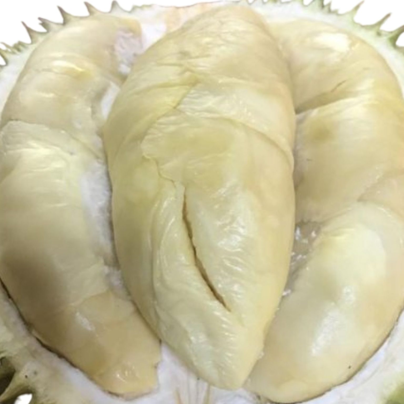 Golden Phoenix Durian from Johor Malaysia (800g Box – All Meat)