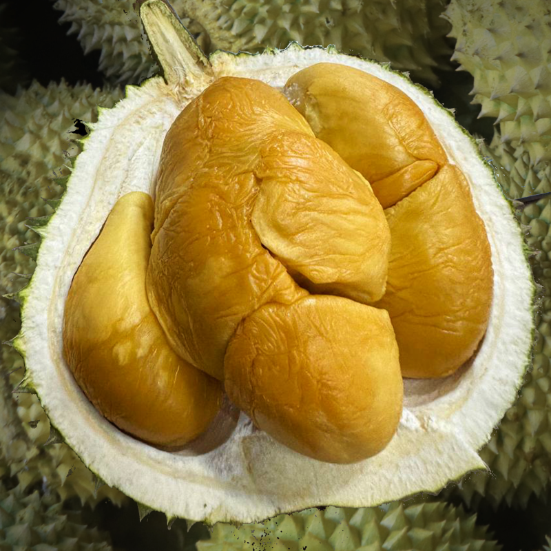 ⭐ Black Thorn Durian (800g Box – All Meat)